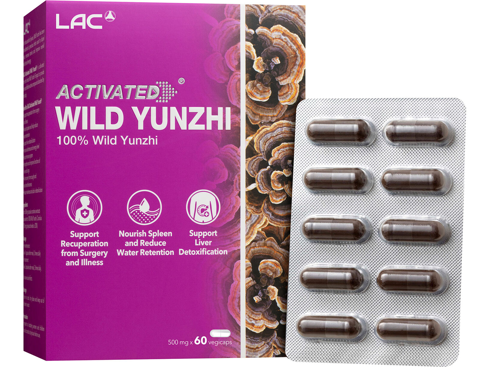 Wild Yunzhi™ | LAC Singapore